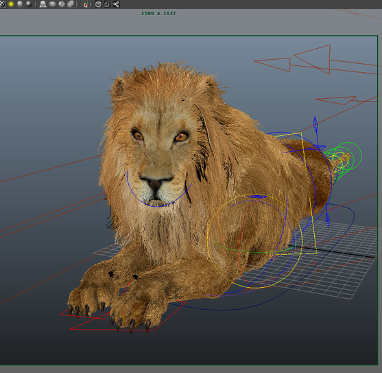 利用MAYA YETI制作的狮子模型 - 角色/人物/生物 - 作品模型 - CG模型网
