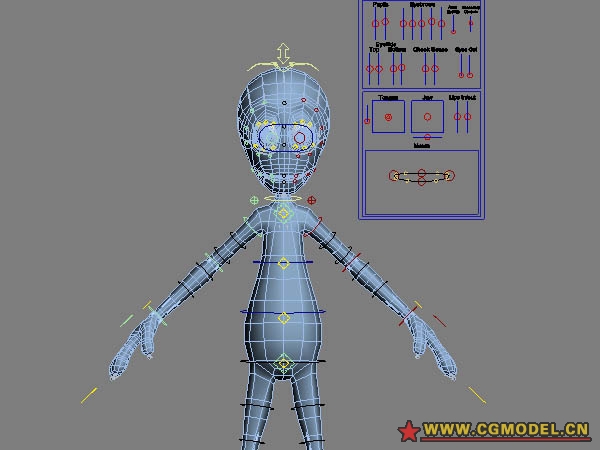 Dee rig模型-孩子-男模型库-3ds Max(.max)模型下载-cg模型网