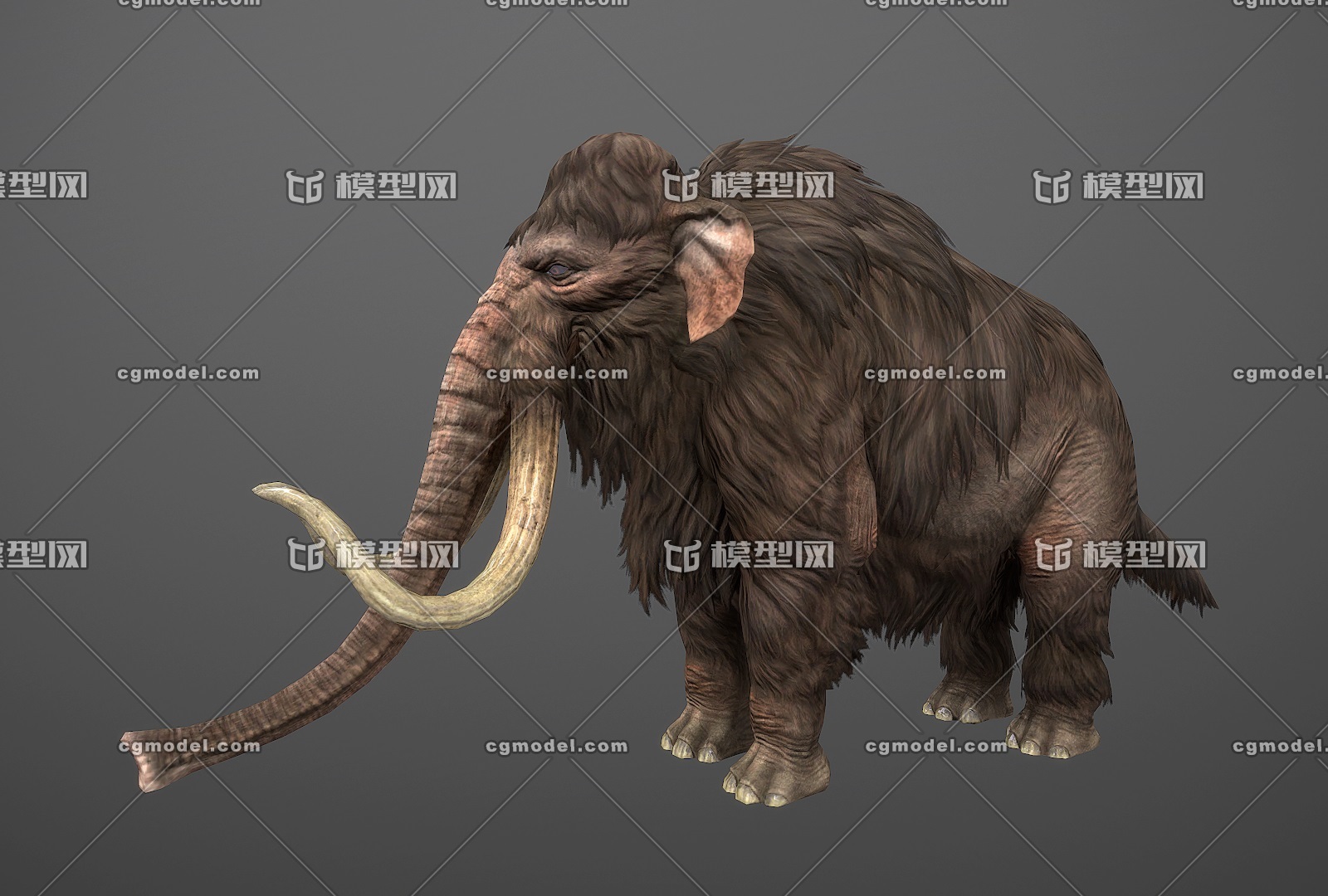 写实 猛犸象模型-哺乳模型库-3ds Max(.max)模型下载-cg模型网