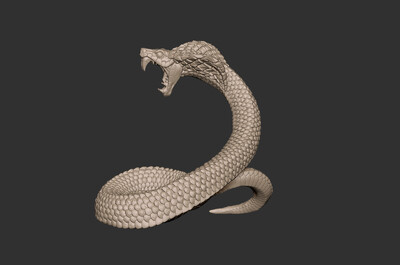 428 蛇模型-爬行模型库-Zbrush(.ztl/.zbp)模型下载-cg模型网