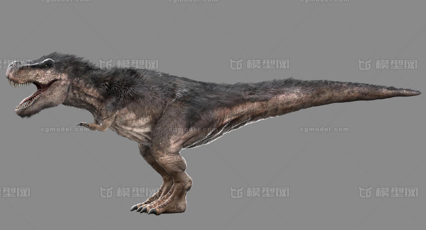 毛发霸王龙 巨龙模型-恐龙模型库-Maya(.ma/.mb)模型下载-cg模型网