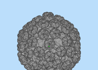 HPV病毒 附3D打印stl文件（20面体，72个突起物/1模型-病毒模型库-STL(.stl)模型下载-cg模型网