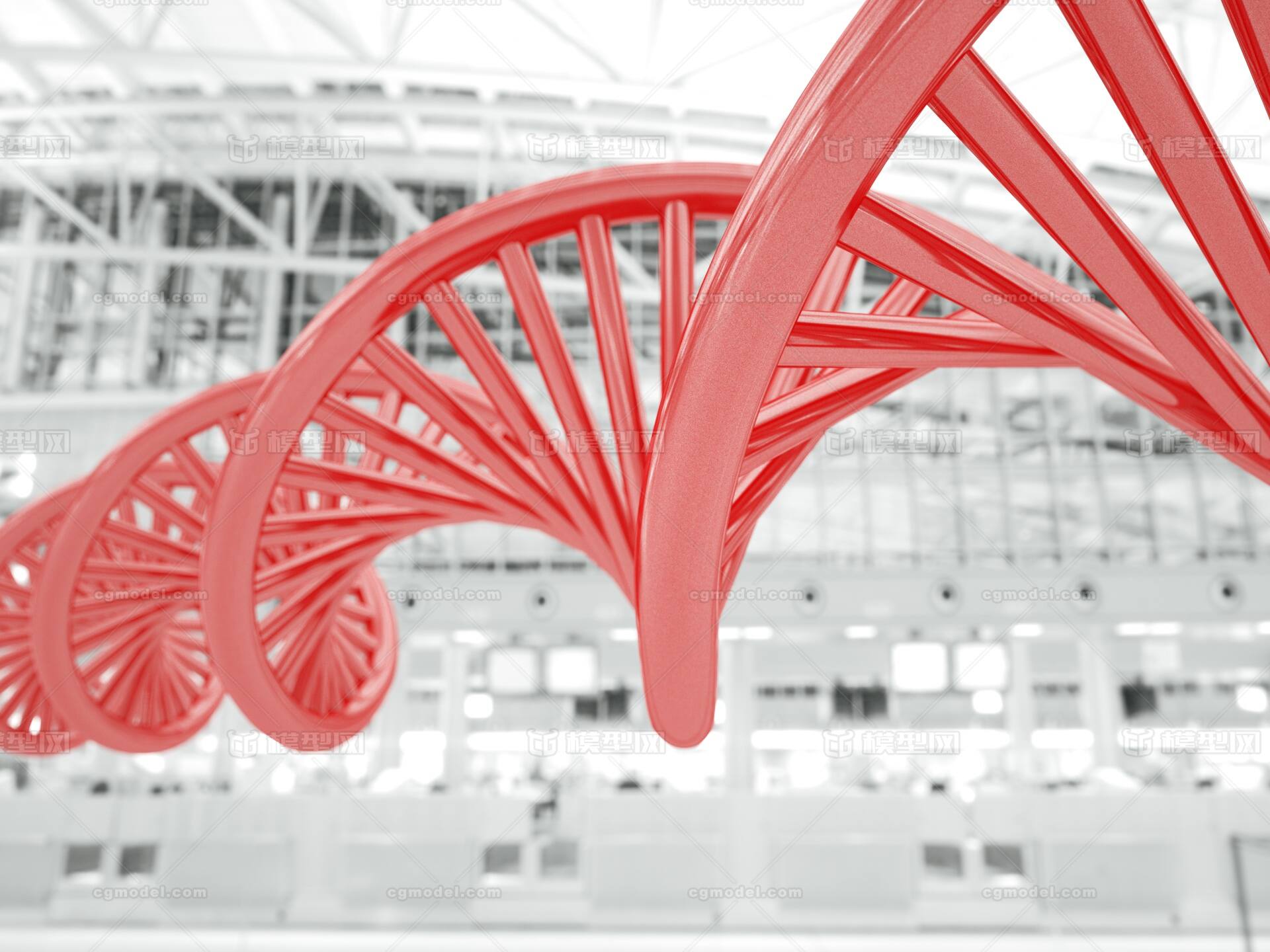 DNA C4D模型-其他模型库-Cinema 4D(.c4d)模型下载-cg模型网