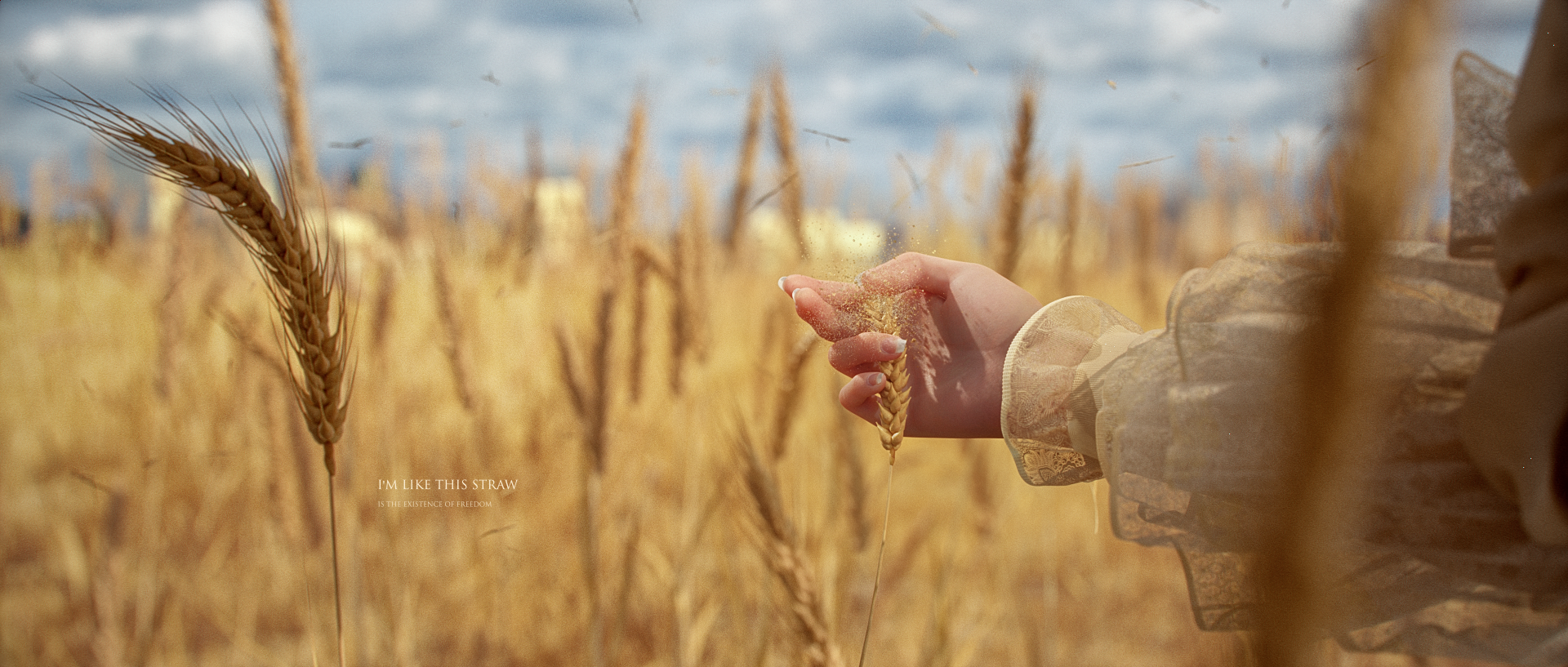 Fate Choices模型 - 游戏/影视/动画 - 作品模型 - CG模型网