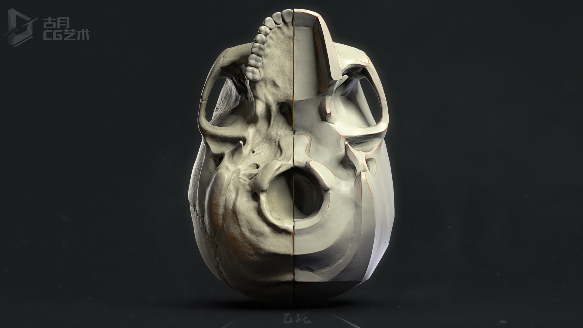 头骨块面解剖模型 - 角色/人物/生物 - 作品模型 - CG模型网