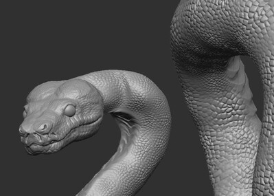 蛇动物写实模型3D打印图纸zbrush文件stl文件模型-爬行模型库-Zbrush(.zpr)模型下载-cg模型网
