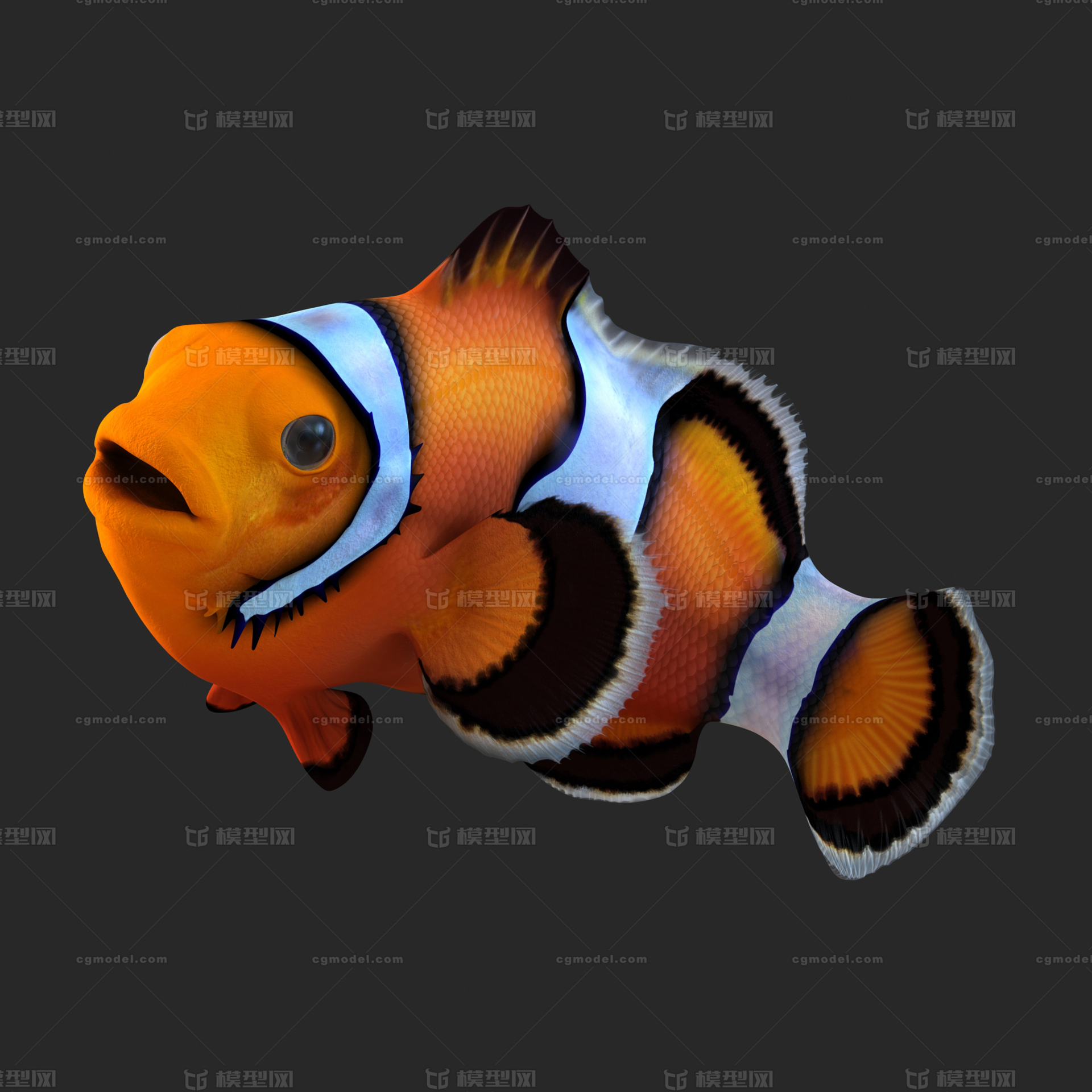 小丑鱼（带绑定）海葵鱼 珊瑚鱼模型-鱼类模型库-Maya(.ma/.mb)模型下载-cg模型网