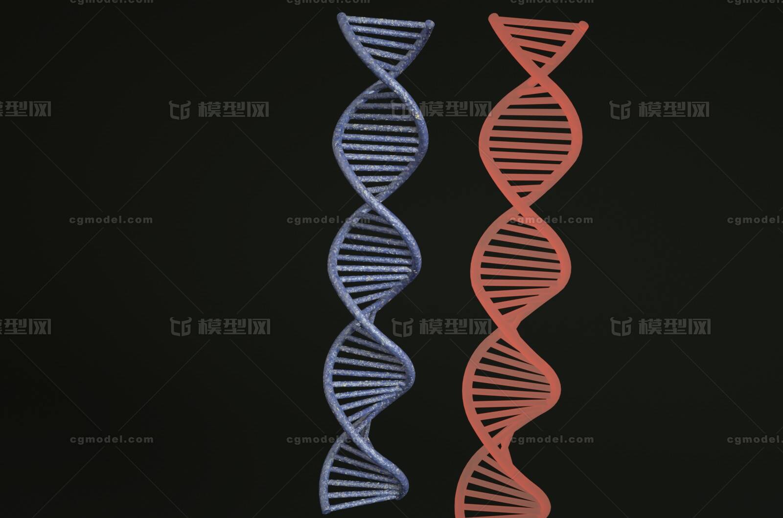 生物dna链 双螺旋分子结构模型-细胞模型库-Cinema 4D(.c4d)模型下载-cg模型网