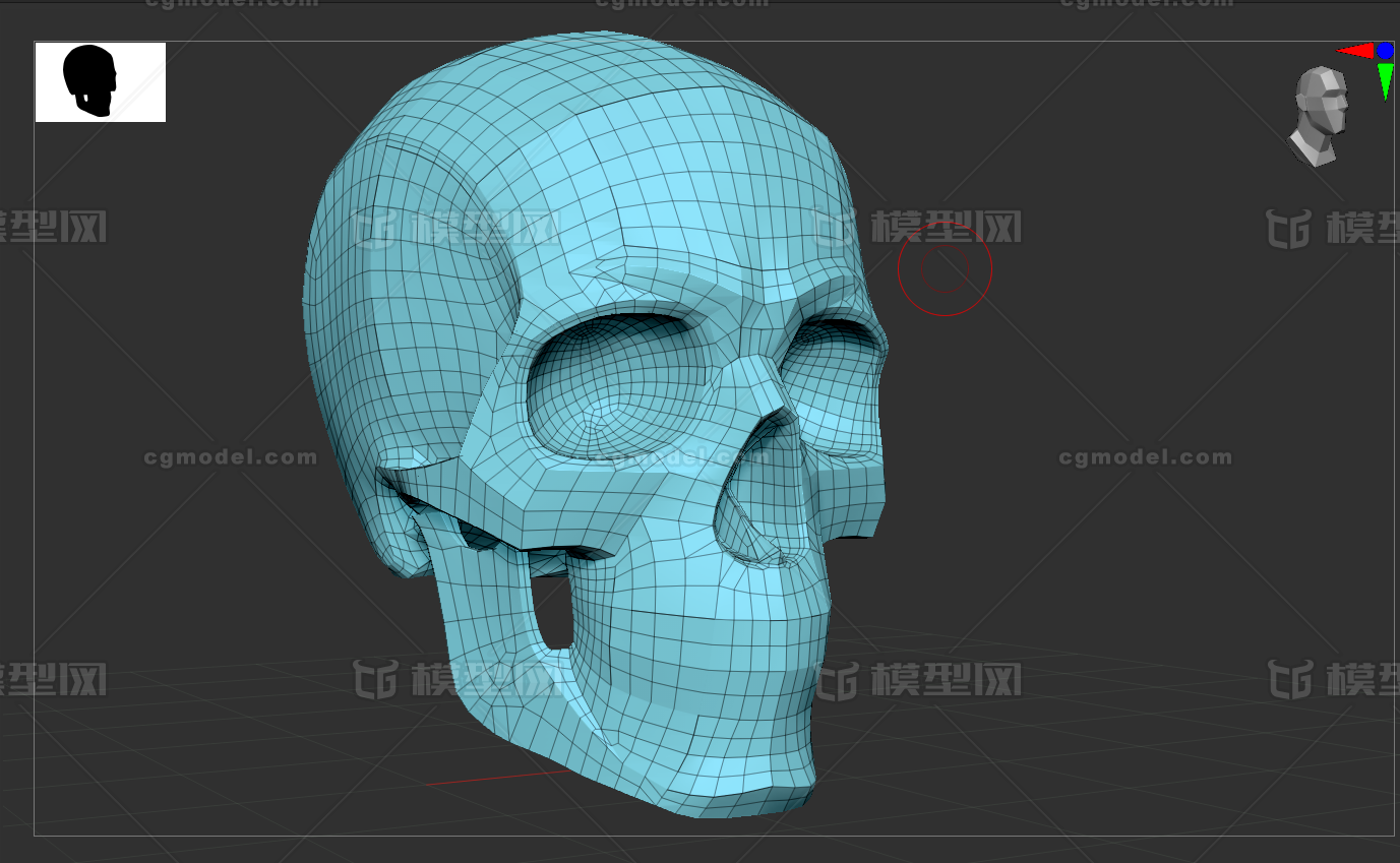 (仅供学习使用）标准人头骨分析模型 C4D模型-器官模型库-Cinema 4D(.c4d)模型下载-cg模型网