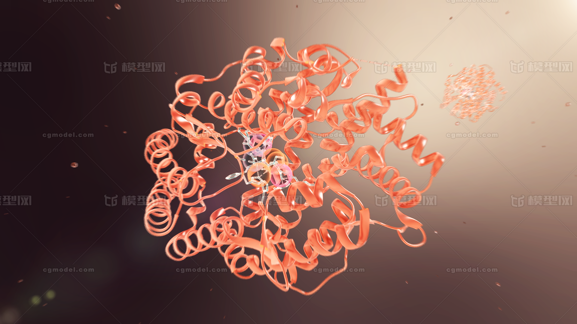 生物酶 DNA链模型-细胞模型库-Cinema 4D(.c4d)模型下载-cg模型网