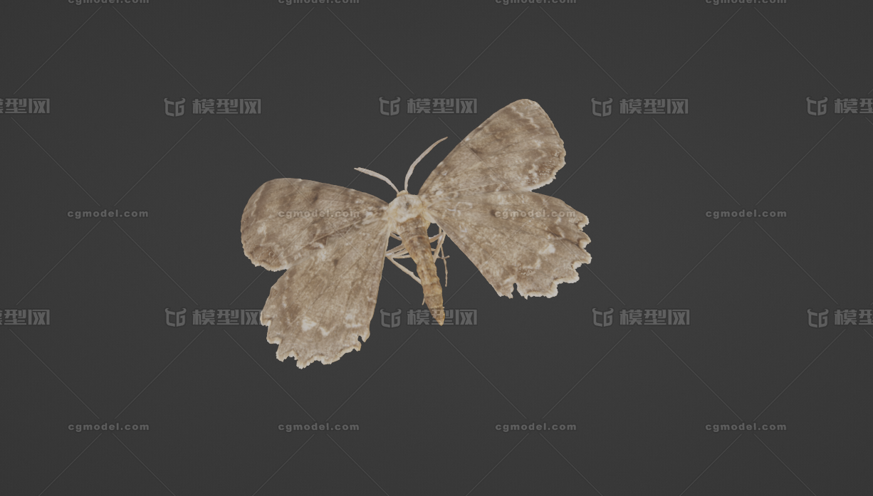 蝴蝶 小蝴蝶模型-昆虫模型库-glTF(.gltf/.glb)模型下载-cg模型网