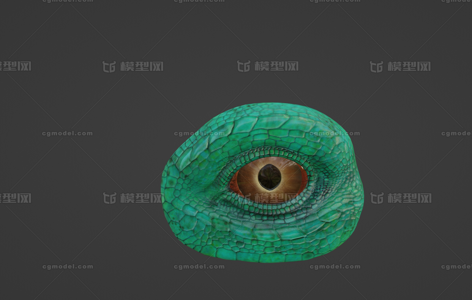 蜥蜴眼睛 大的蜥蜴眼睛模型-两栖模型库-glTF(.gltf/.glb)模型下载-cg模型网