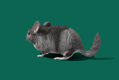 龙猫 次世代龙猫模型-哺乳模型库-3ds Max(.max)模型下载-cg模型网