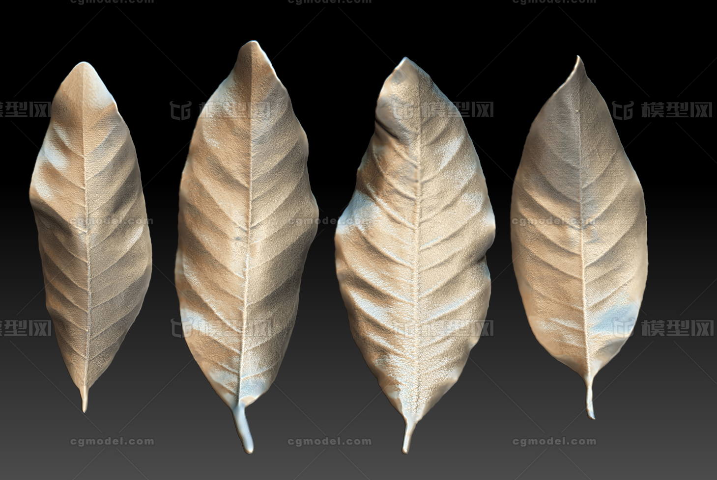 四款3D打印树叶文件STL 树叶雕塑3D图模型-树木模型库-STL(.stl)模型下载-cg模型网