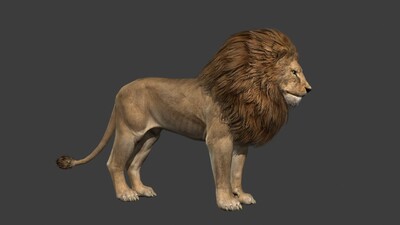 雄狮 次世代狮子模型-哺乳模型库-3ds Max(.max)模型下载-cg模型网