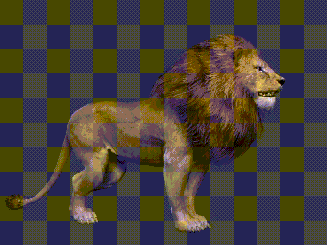 雄狮 次世代狮子模型-哺乳模型库-3ds Max(.max)模型下载-cg模型网