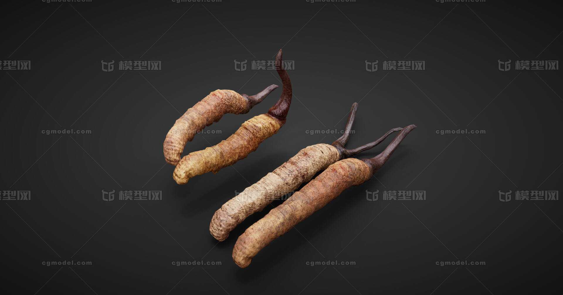 冬虫夏草 冬虫草模型-中药模型库-3ds Max(.max)模型下载-cg模型网