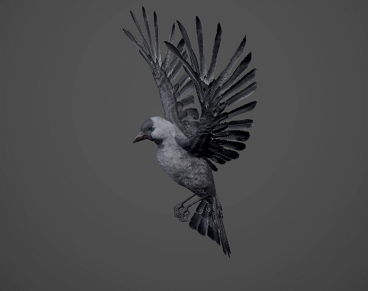 PBR 乌鸦模型-飞禽模型库-FBX(.fbx)模型下载-cg模型网