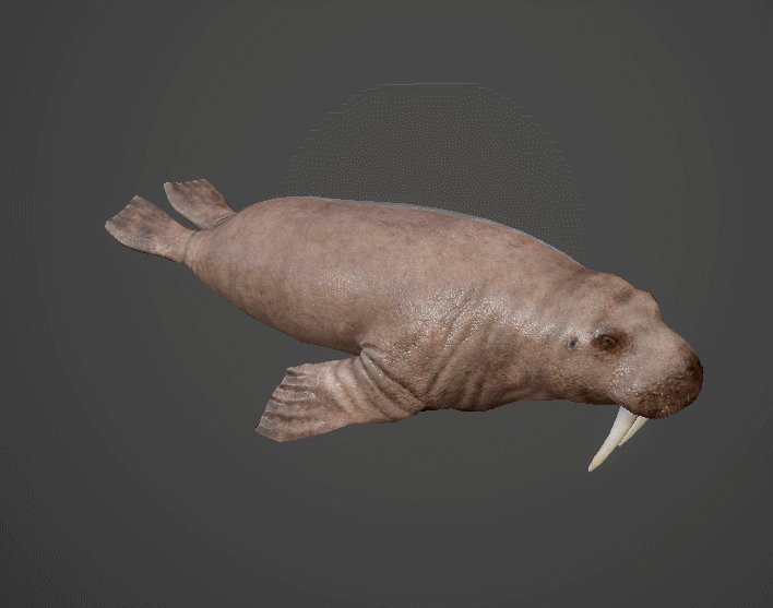 PBR 次世代模型-哺乳模型库-FBX(.fbx)模型下载-cg模型网