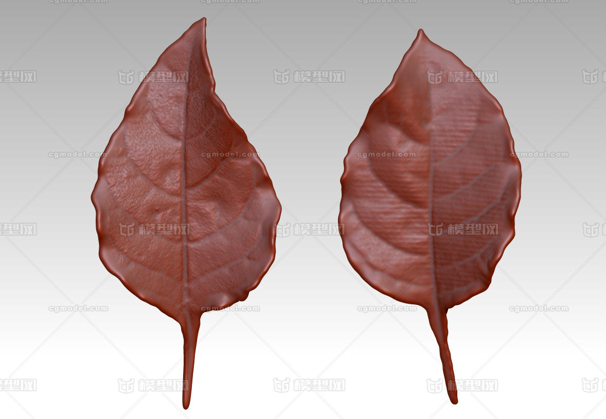 3D打印树叶文件STL 树叶雕塑3D图模型-树木模型库-OBJ(.obj/.mtl)模型下载-cg模型网