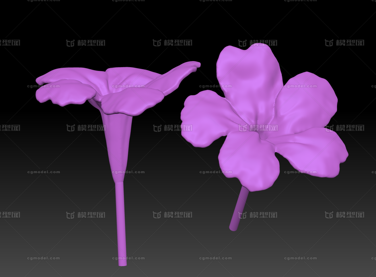 蓝花草花朵3D图下载，芦莉草雕塑模型，花朵三维模型，兰花草3模型-花卉模型库-OBJ(.obj/.mtl)模型下载-cg模型网