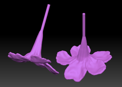 蓝花草花朵3D图下载，芦莉草雕塑模型，花朵三维模型，兰花草3模型-花卉模型库-OBJ(.obj/.mtl)模型下载-cg模型网