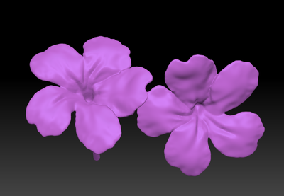 蓝花草花朵3D图下载，芦莉草雕塑模型，花朵三维模型，兰花草3模型-花卉模型库-OBJ(.obj/.mtl)模型下载-cg模型网