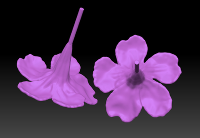 蓝花草花朵3D图下载，芦莉草雕塑模型，花朵三维模型，兰花草3模型-花卉模型库-OBJ(.obj/.mtl)模型下载-cg模型网