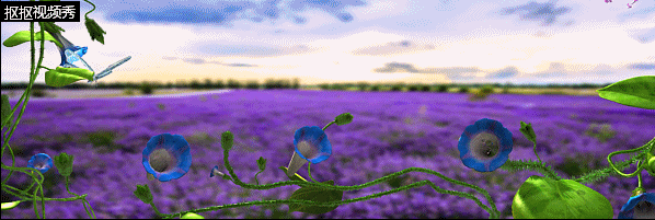 牵牛花开花动画 花开模型-自然场景模型库-3ds Max(.max)模型下载-cg模型网