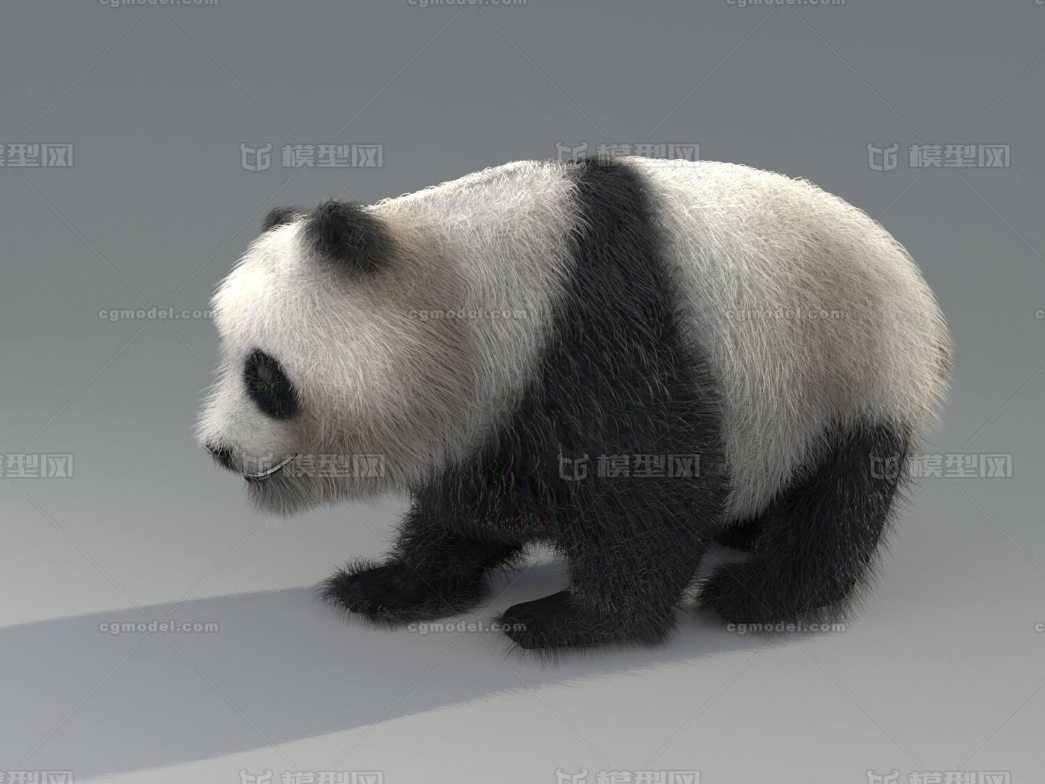 熊猫【有绑定动画】panda 写实大熊猫模型-哺乳模型库-3ds Max(.max)模型下载-cg模型网
