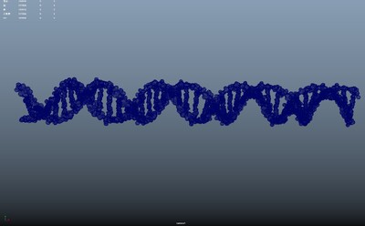 DNA 遗传基因DNA模型-人体器官模型库-FBX(.fbx)模型下载-cg模型网