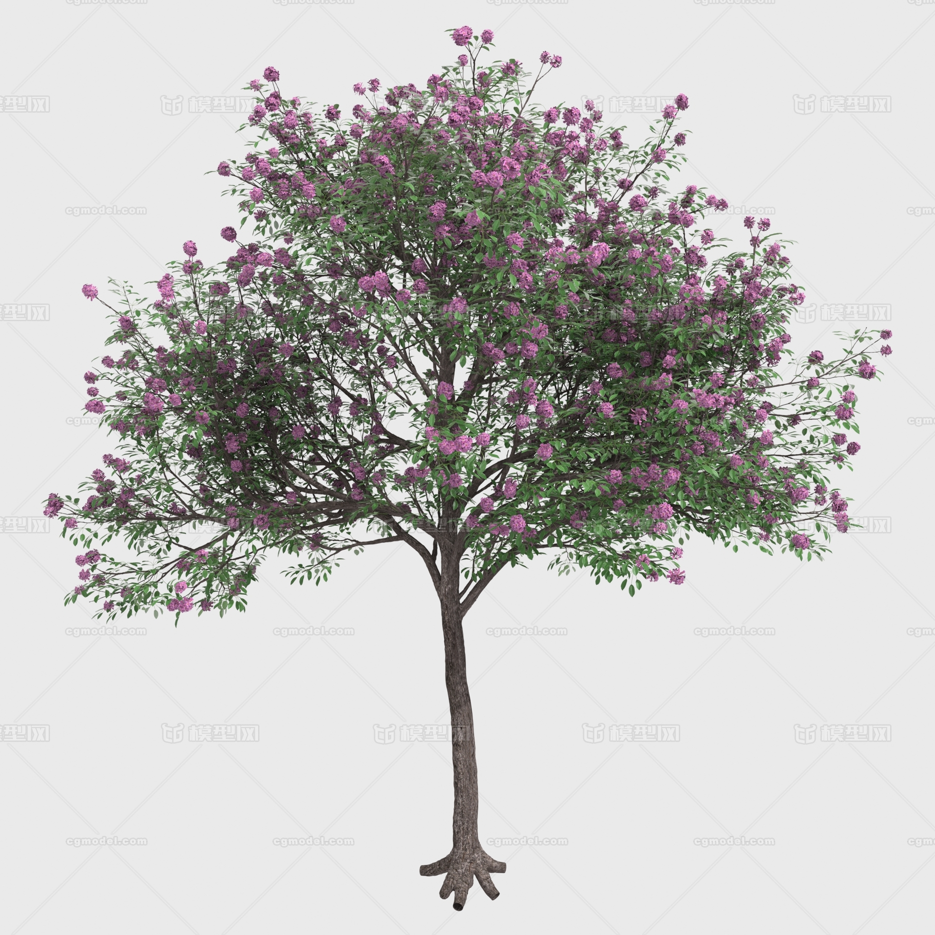 风铃木花 粉红色喇叭花树模型-树木模型库-3ds Max(.max)模型下载-cg模型网