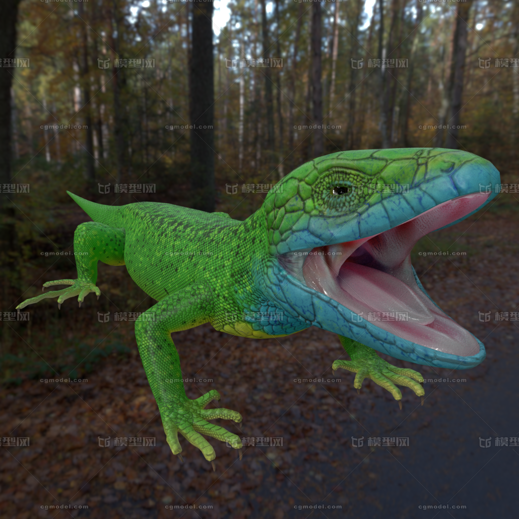 绿色的蜥蜴模型-爬行模型库-Maya(.ma/.mb)模型下载-cg模型网