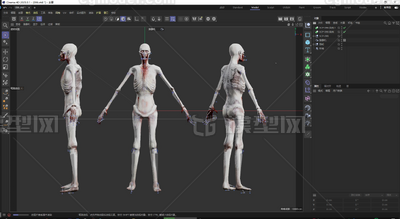【带绑定】SCP基金会 096模型-异形怪物模型库-FBX(.fbx)模型下载-cg模型网