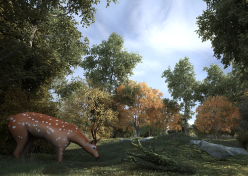 鹿 梅花鹿野外模型-自然场景模型库-3ds Max(.max)模型下载-cg模型网